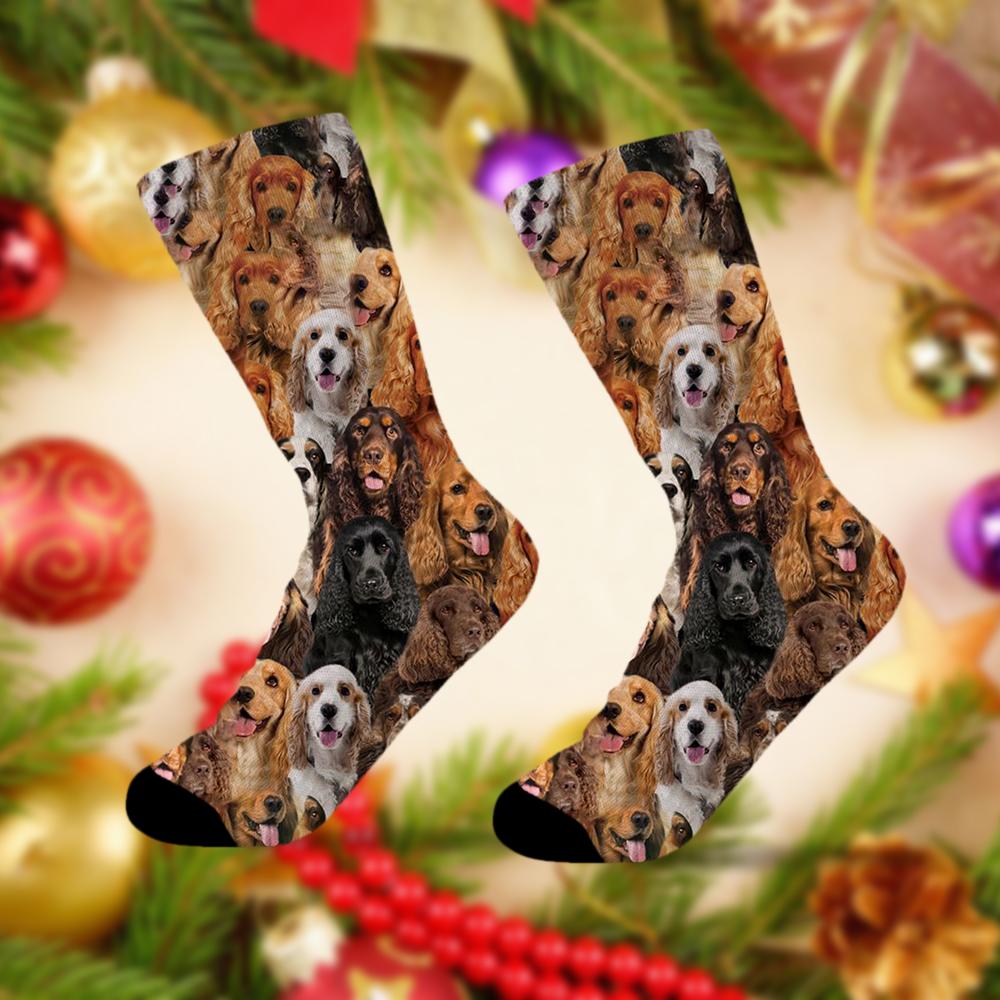 A Bunch Of English Cocker Spaniels Socks - OKBANDS