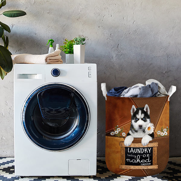 Husky Laundry Today Or Naked Tomorrow Laundry Basket - OKBANDS