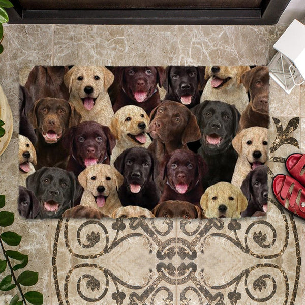 A Bunch Of Labradors Doormat - OKBANDS