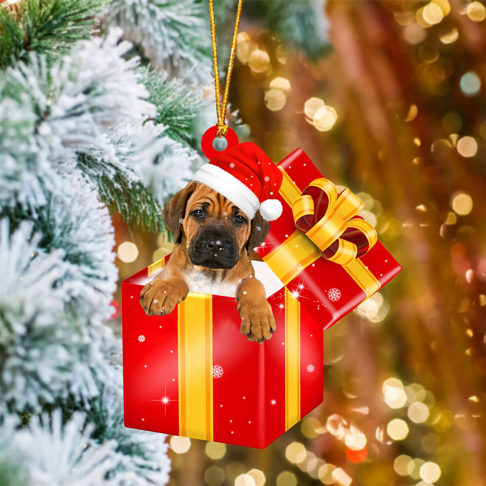 Rhodesian Ridgeback In Red Gift Box Christmas Ornament - OKBANDS