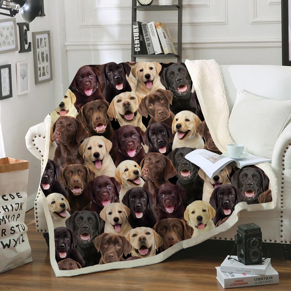 A Bunch Of Dog Blanket - OKBANDS