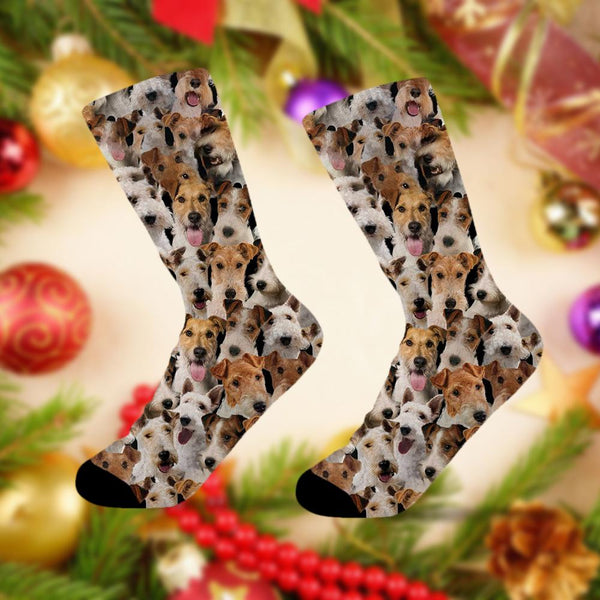 A Bunch Of Wire Fox Terriers Socks - OKBANDS